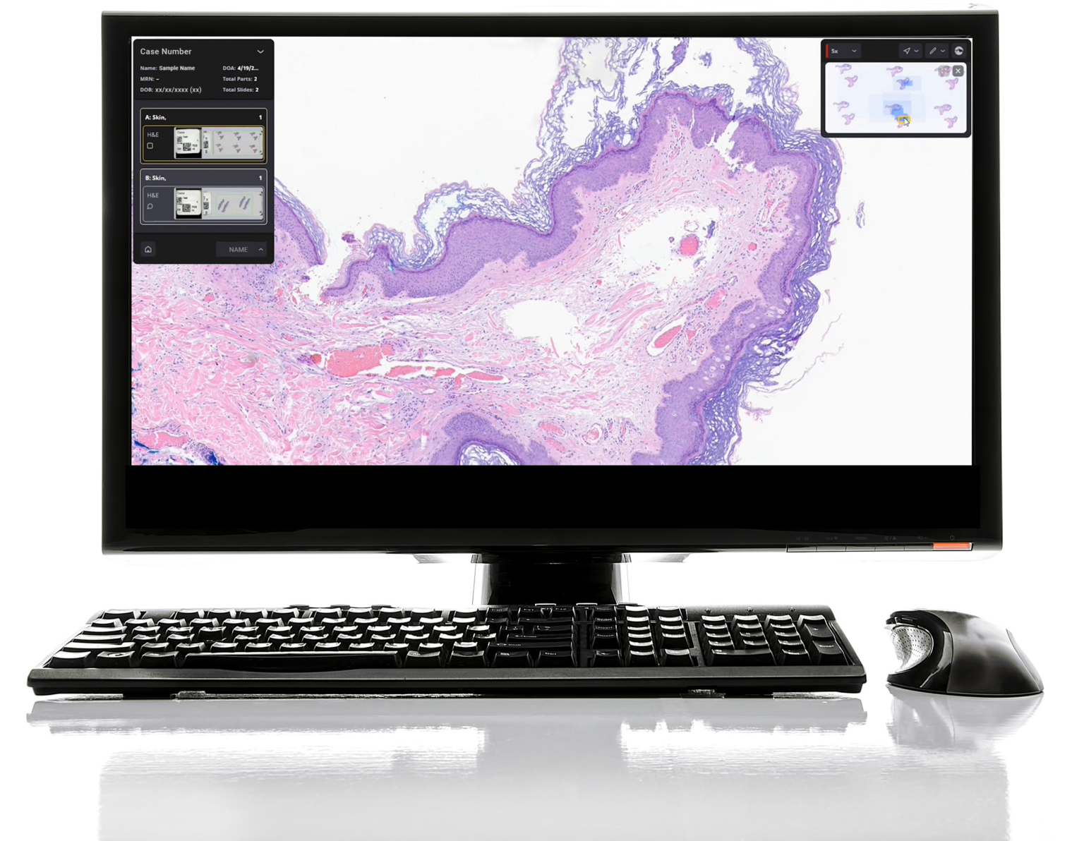 Technology Solutions - Inform Diagnostics